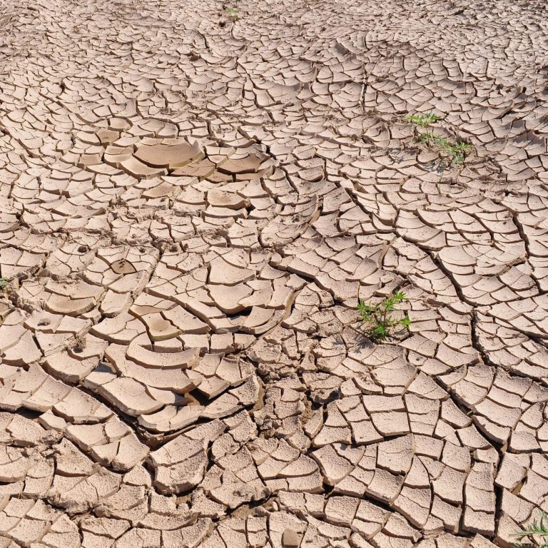 What Is Desertification? - ClimaTalk - Climate is Talking