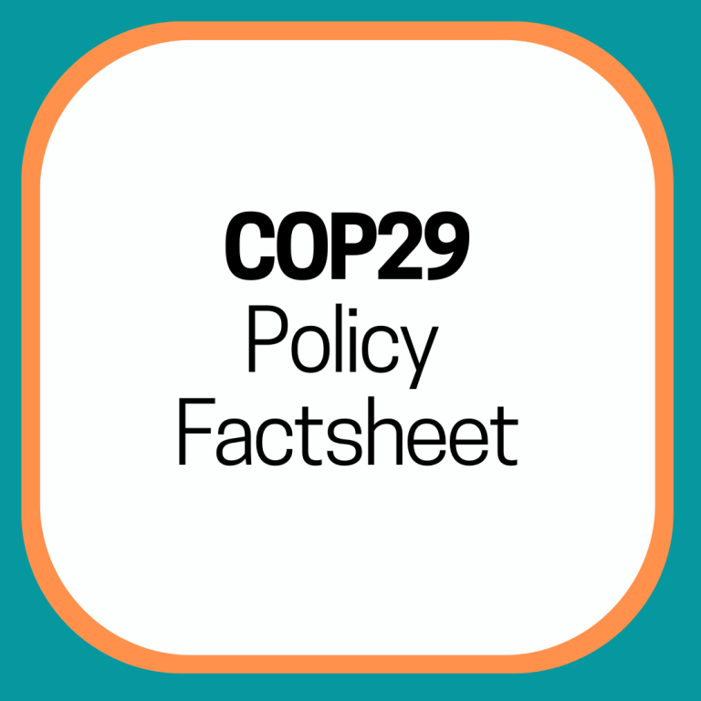 COP29 Factsheet: Global Goal on Adaptation (GGA)