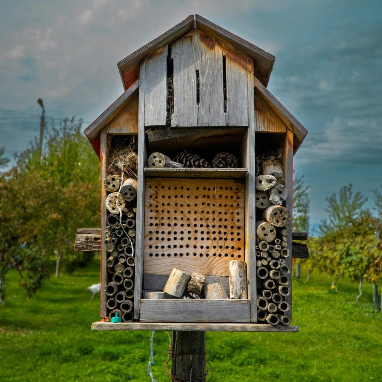 A Timeline Of The CBD COPs | ClimaTalk